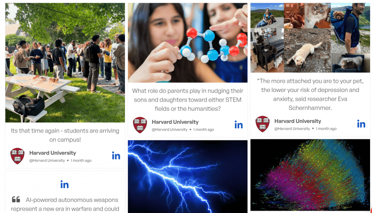 30+ Best Widgets For Websites [Free + Paid] in 2026